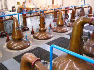 Understanding Whisky – Single Malts vs Blends